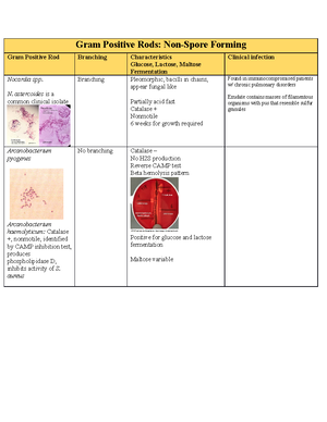 Gram Postive Cocci Review Tables - Catalase Positive GPC Bacteria ...