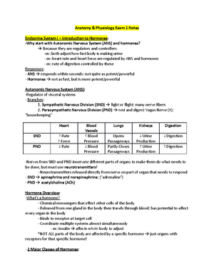 Glomerular Filtration Worksheet - Urinary system work sheet Name ...