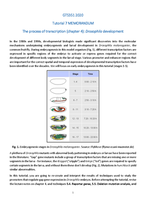 TUT1 assignment 2023 Gene organisation - GTS 351 TUTORIAL 1 Assignment Organisation of a typical ...