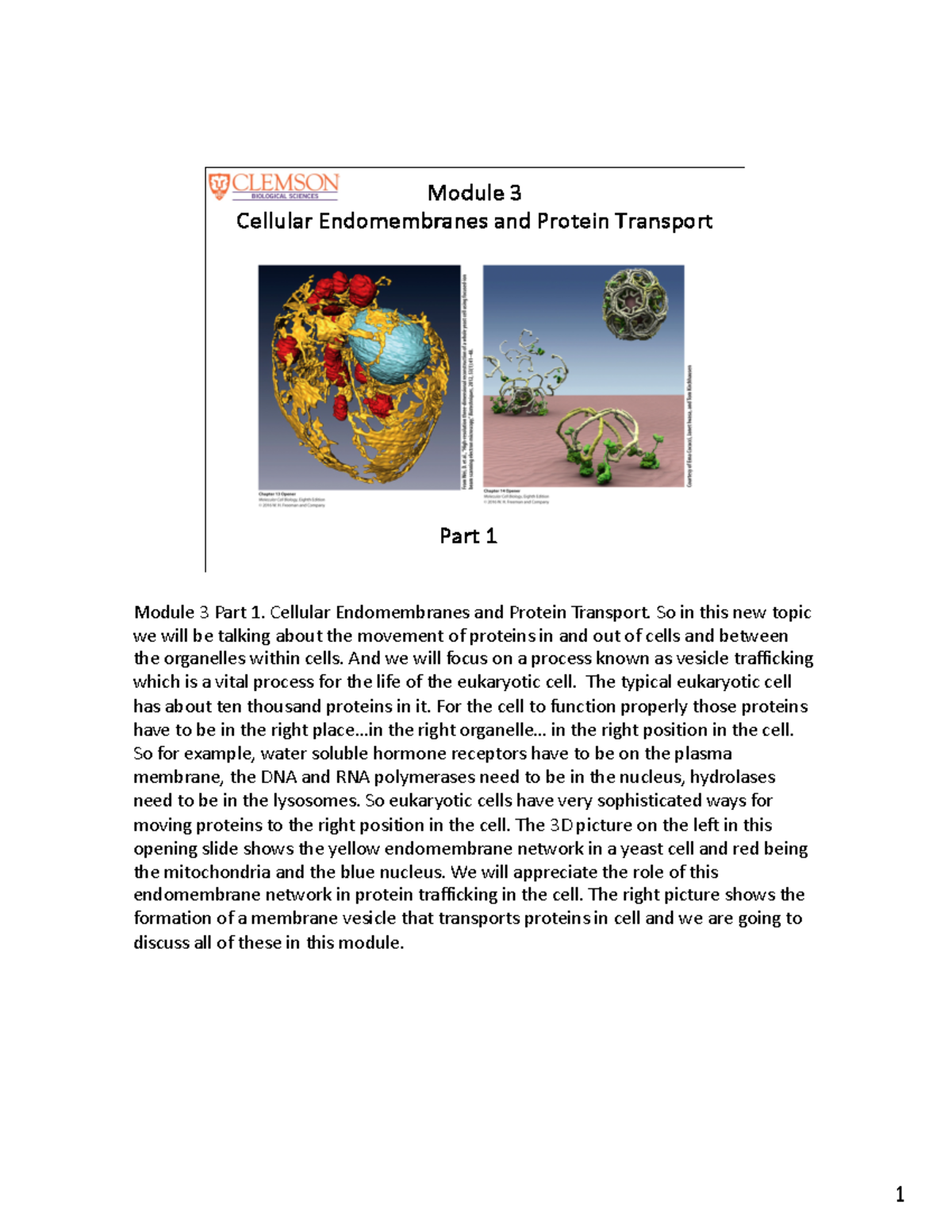 CB-E2-2 - module 2 - Module 3 Part 1. Cellular Endomembranes and ...