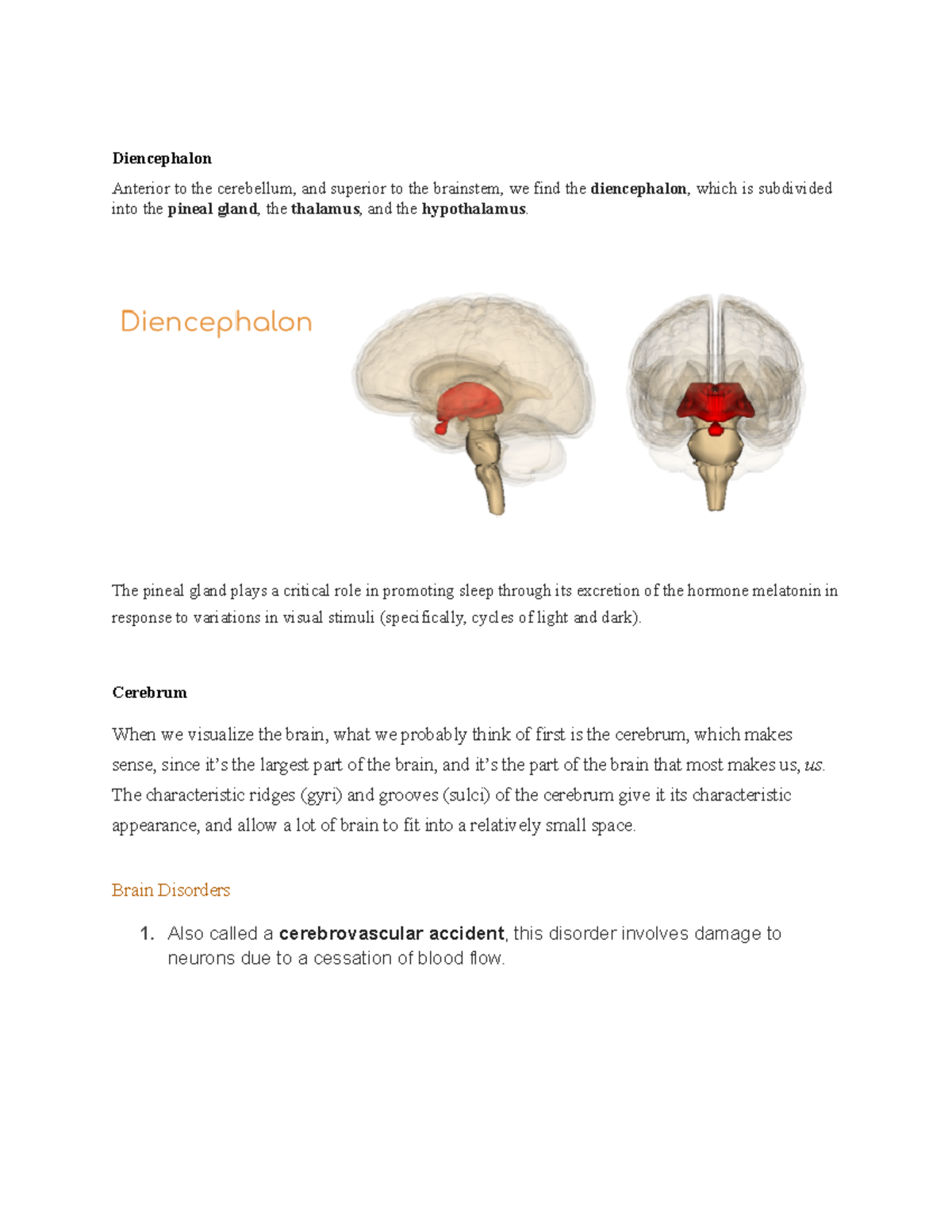 Course hero-2 - NIHBGFCD - Diencephalon Anterior to the cerebellum, and ...