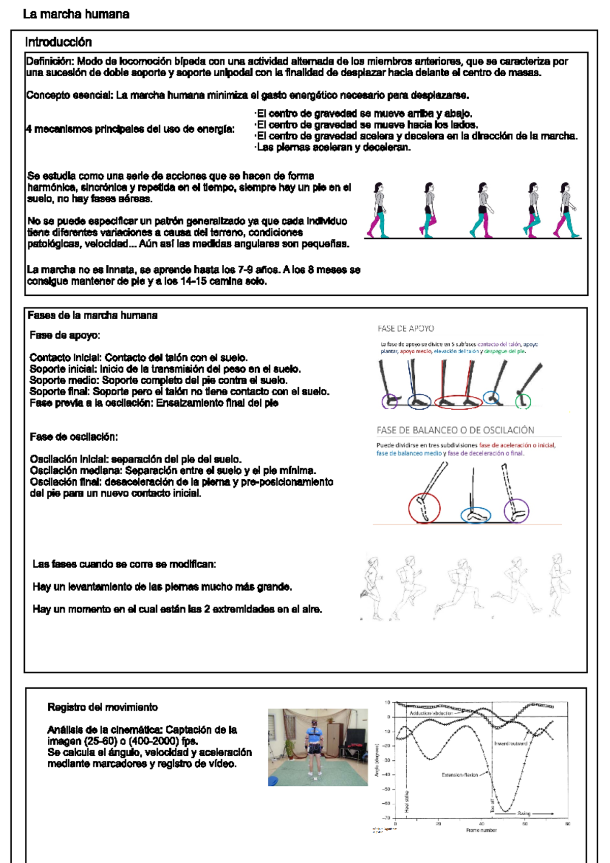 Tema 7. La marcha humana - La marcha humana Introduccién Deﬁnicién ...