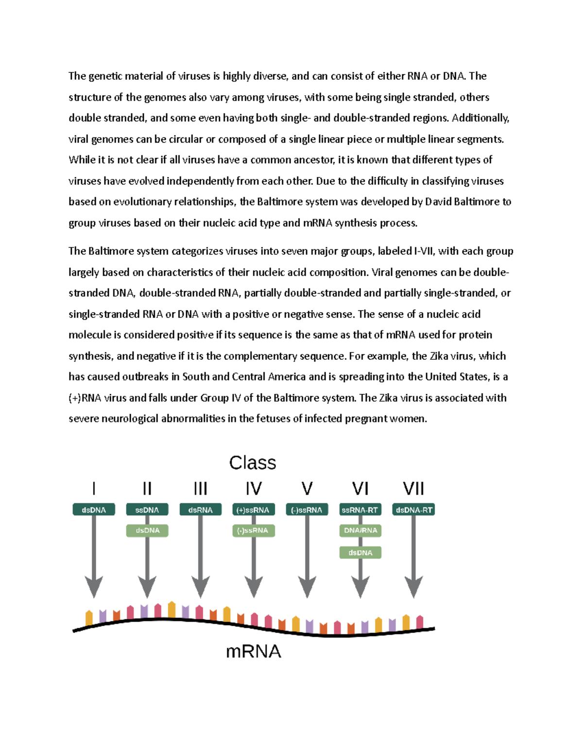 Viruses and viral genomes - The genetic material of viruses is highly ...