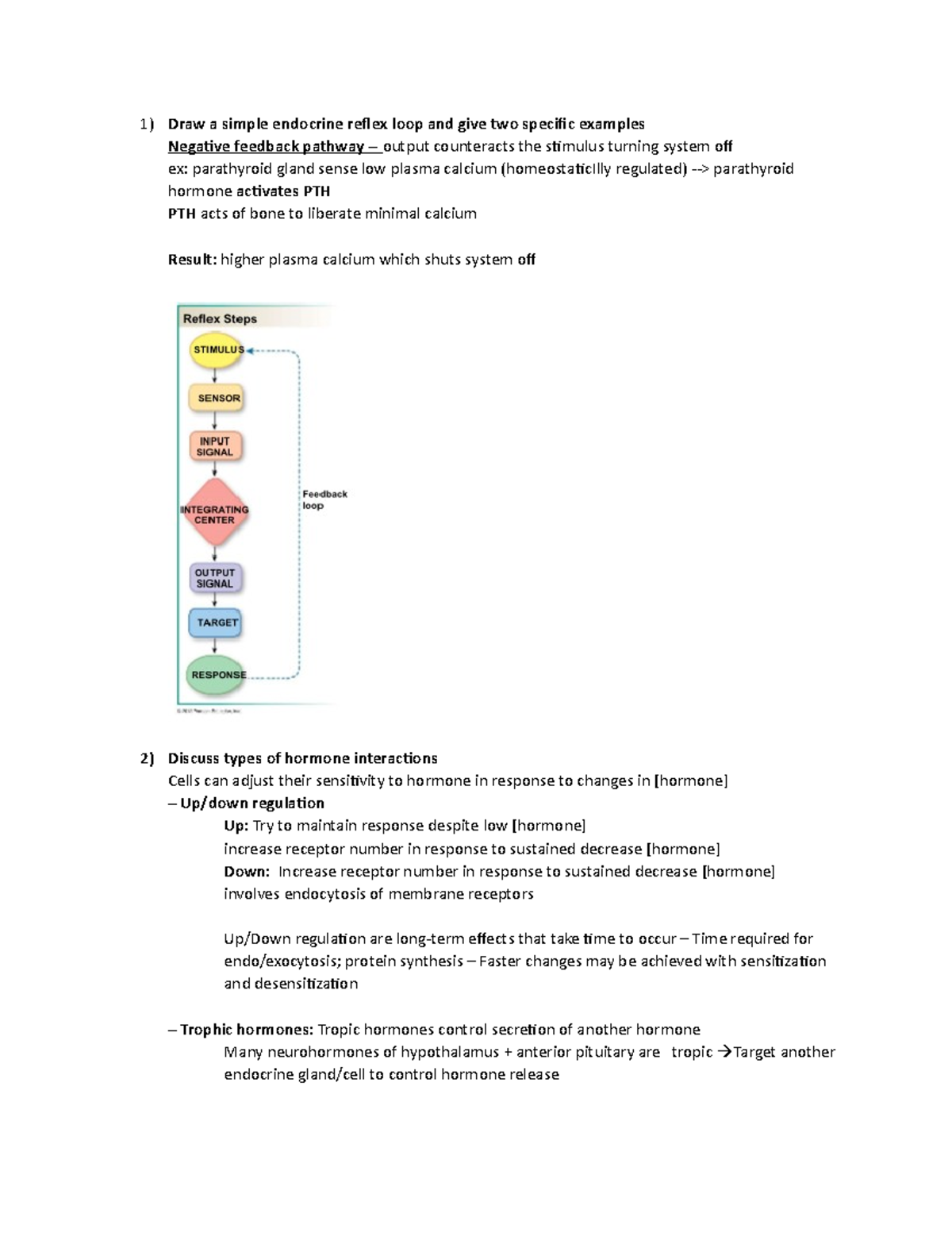 Lecture 6 Objectives BPK 205 - Draw a simple endocrine reflex loop and ...