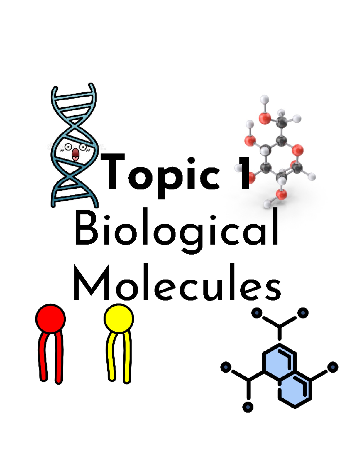 AQA A LEVEL BIOLOGY CHAPTER ONE NOTES - Biological Molecules - Topic 1 ...