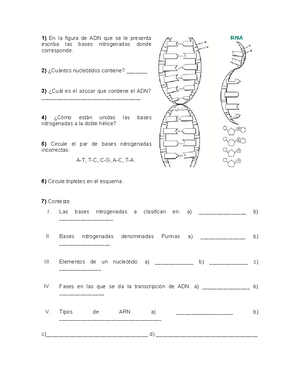 Aeromancy Lab Report - DFFFFFFFFFFFFFF - Sweden; the Psittaciformes, or ...