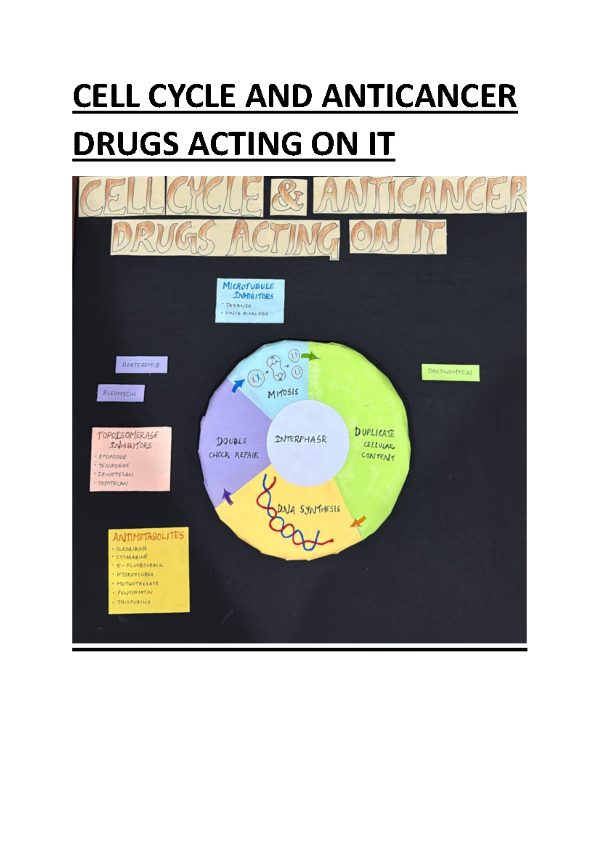 Pharmacology anticer drug on cell cycle - CELL CYCLE AND ANTICANCER ...
