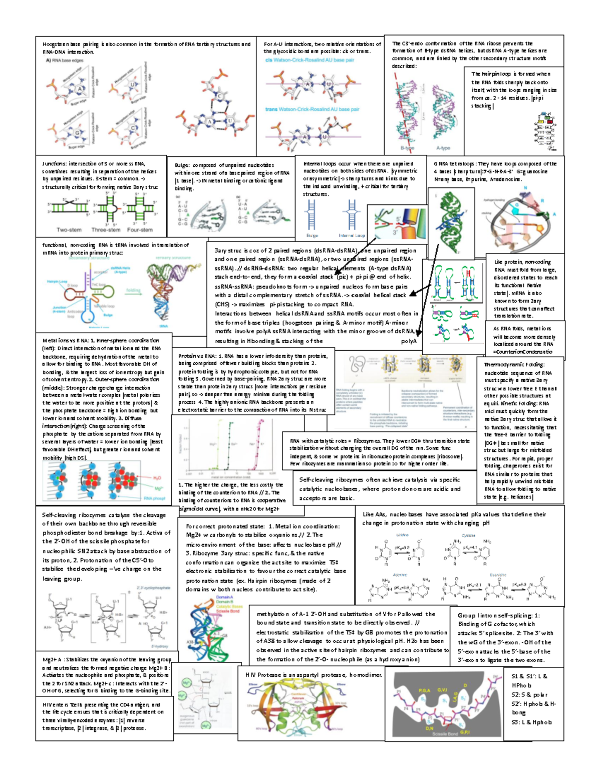 Cheat sheet for final - Hoogsteen base pairing is also common in the ...