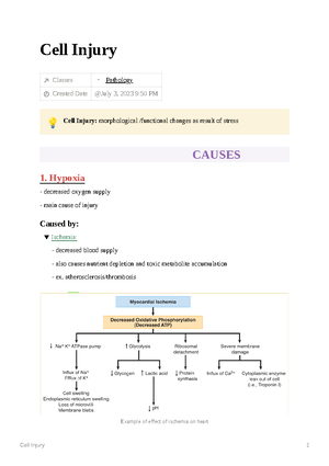 Cell Injury - Hypoxia decreased oxygen supply main cause of injury ...