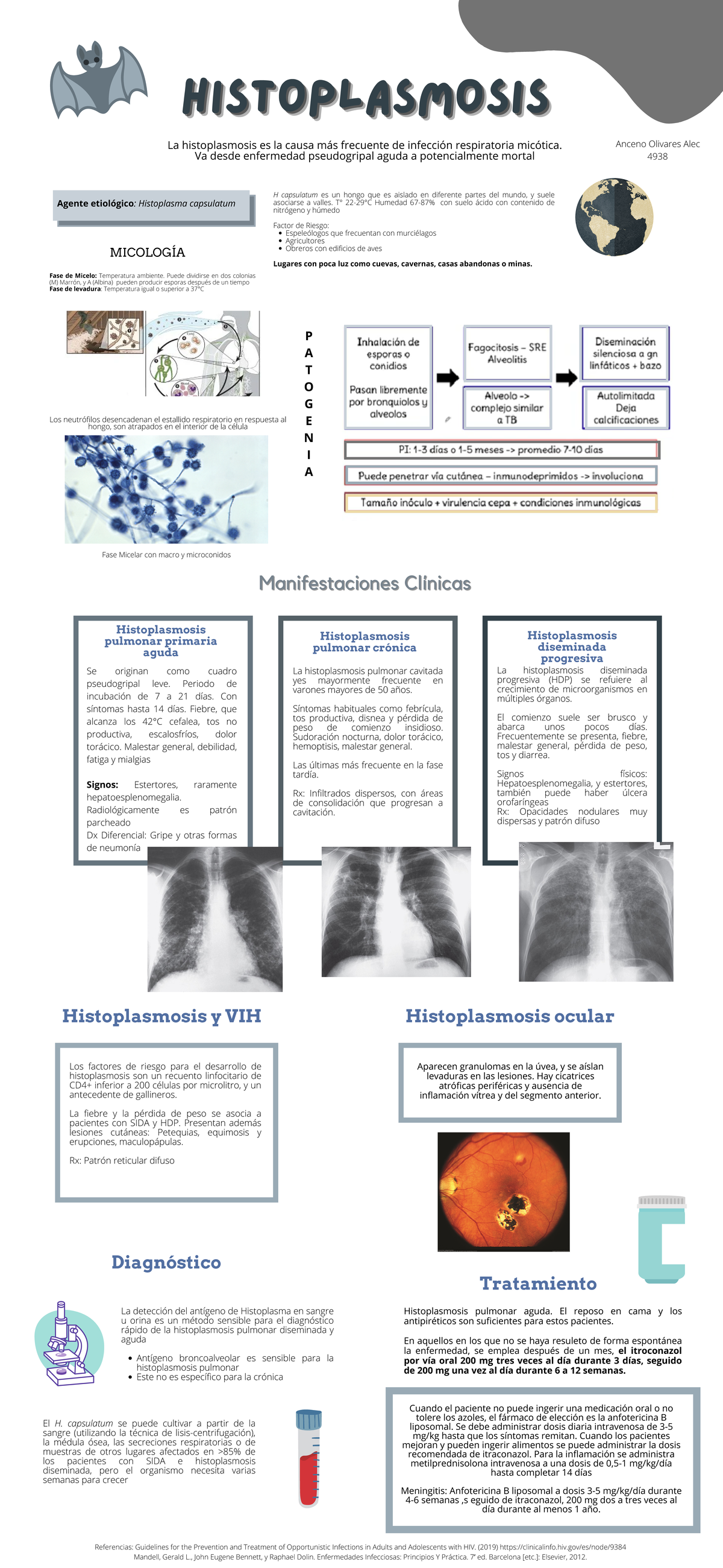 Histoplasmosis - Va desde enfermedad pseudogripal aguda a ...