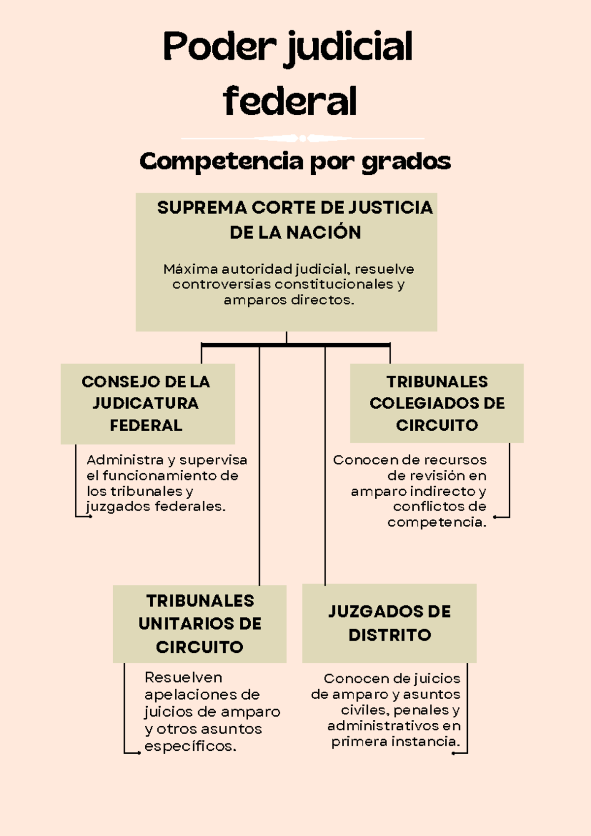 Organigrama poder judicial federal - Administra y supervisa el funcionamiento de los tribunales ...