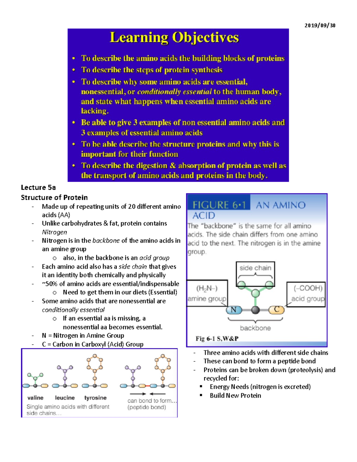 Lecture 5 - 2019/09/ Lecture 5a Structure of Protein Made up of ...