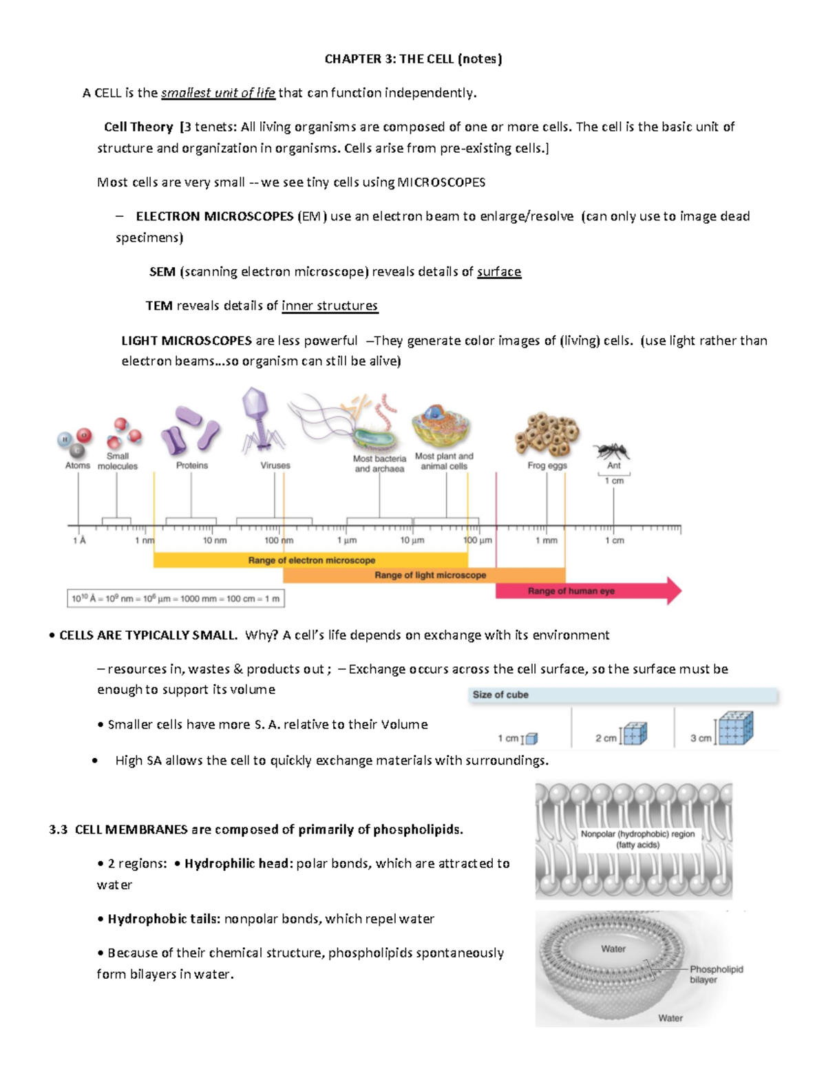 Chapter 3 notes Pg 1 - CHAPTER 3: THE CELL (notes) A CELL is the ...