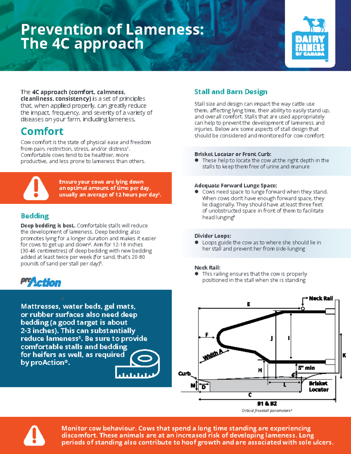 unpractical notes - Prevention of Lameness: The 4C approach ####### The ...