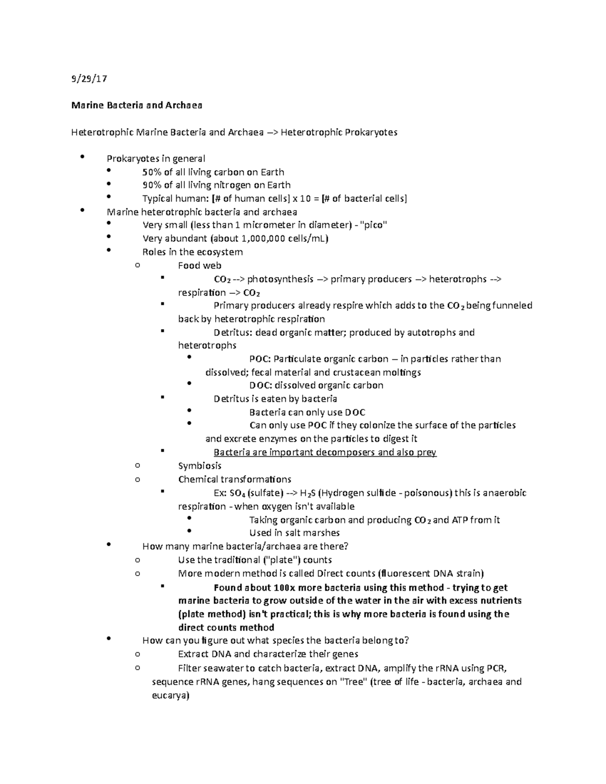 Heterotrophic Marine Bacteria