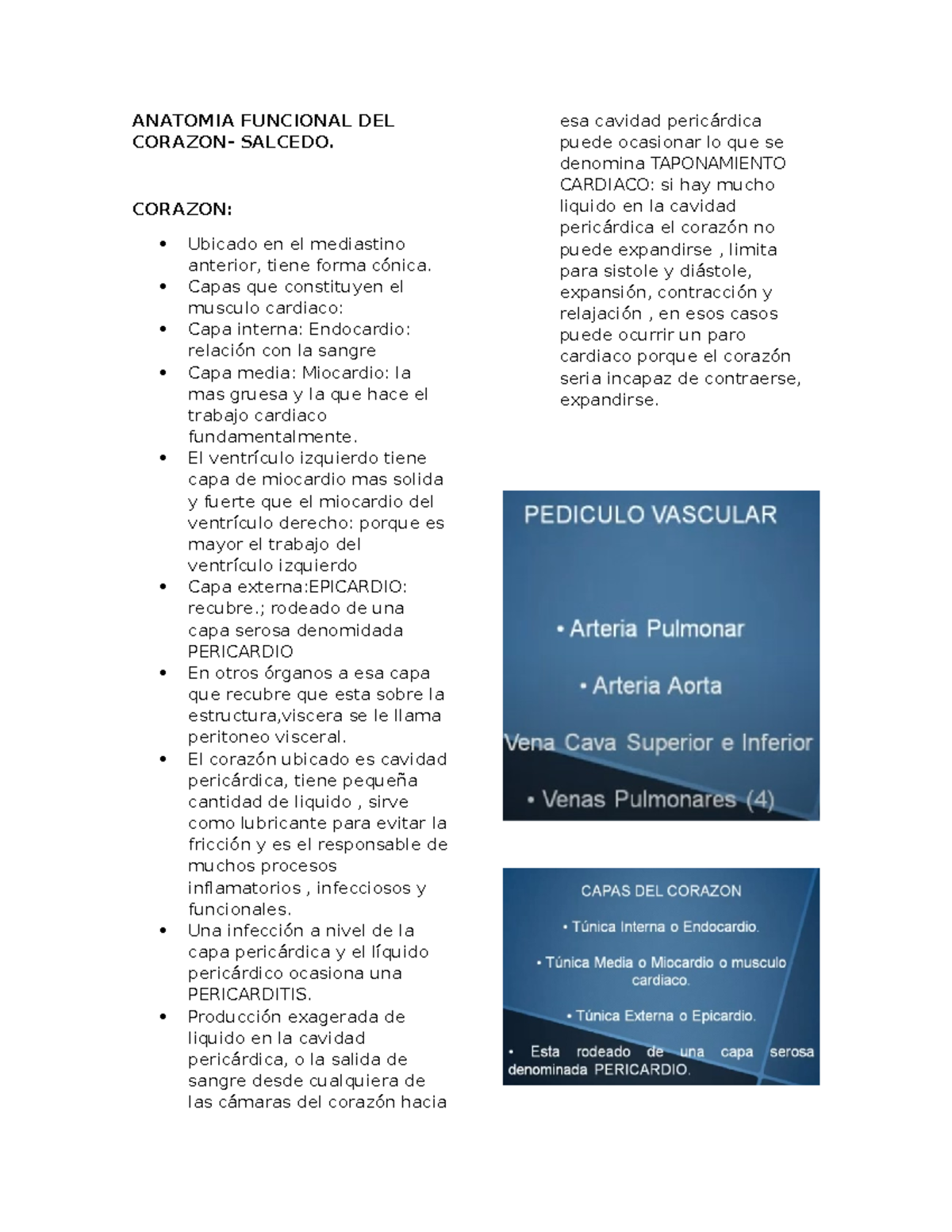Anatomia Funcional del corazon- ANATOMIA FUNCIONAL DEL CORAZON- SALCEDO ...