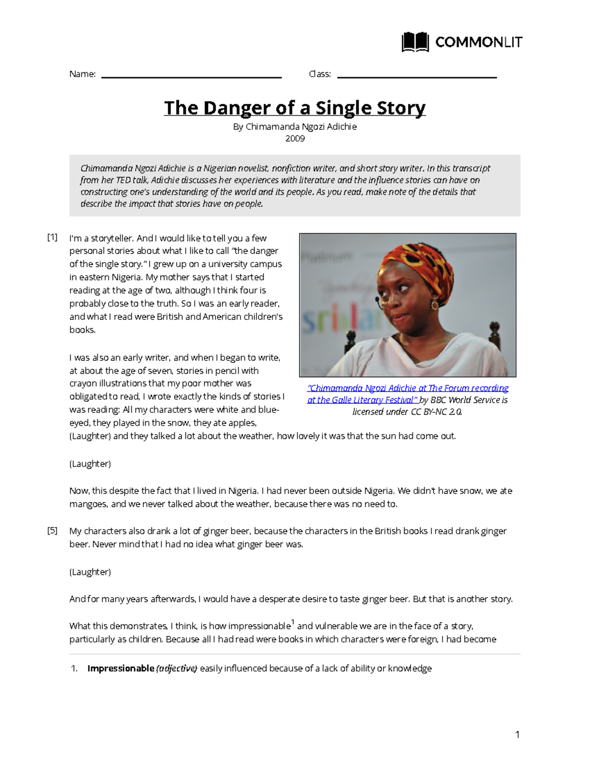 Danger of a Single Story - Name: Class: "Chimamanda Ngozi Adichie at ...