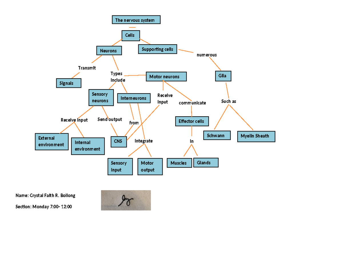 Concept map anesthesiology - Doctor of Dental Medicine - Name: Crystal ...