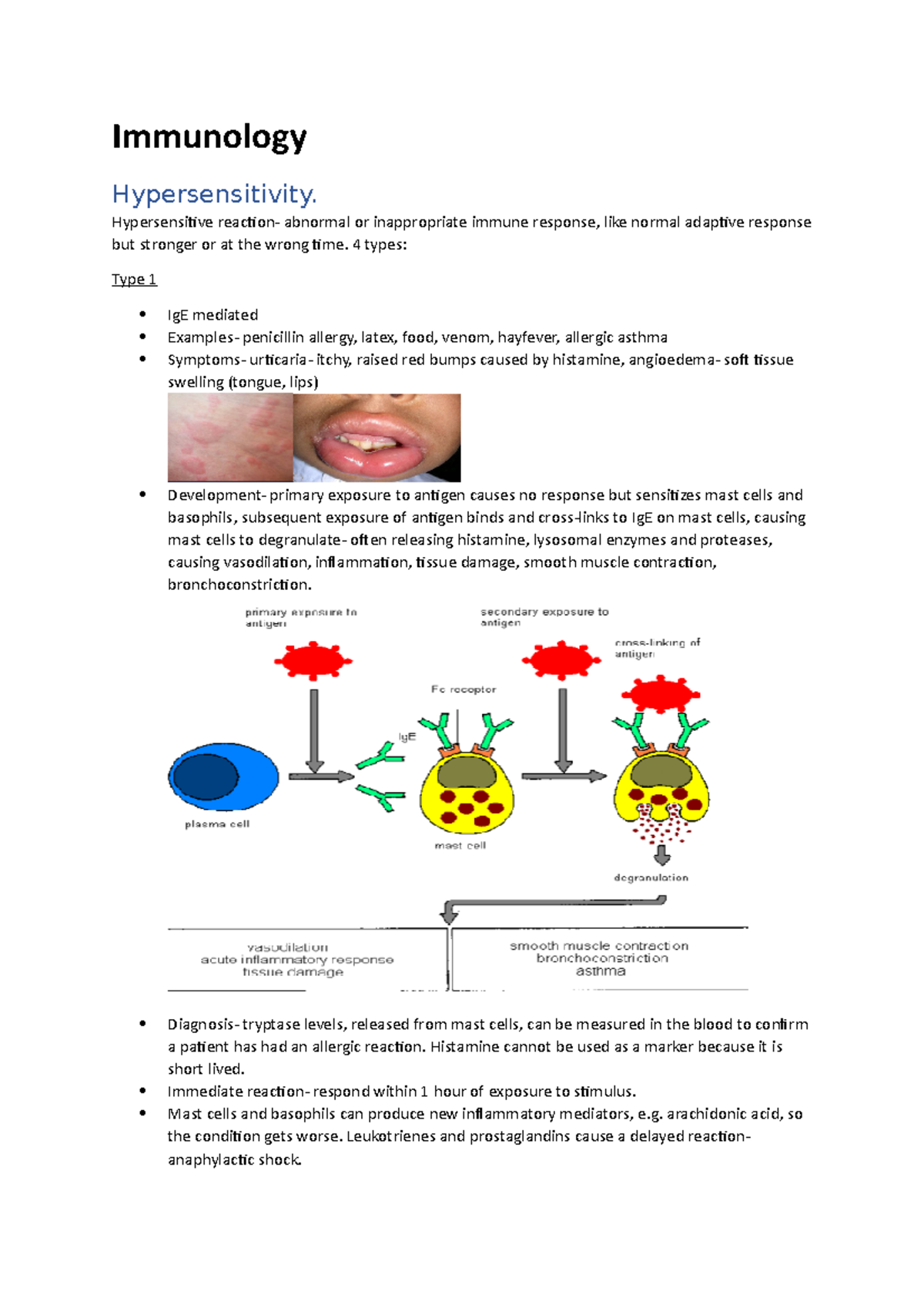 Immunology - Immunology Hypersensitivity. Hypersensitive reaction ...