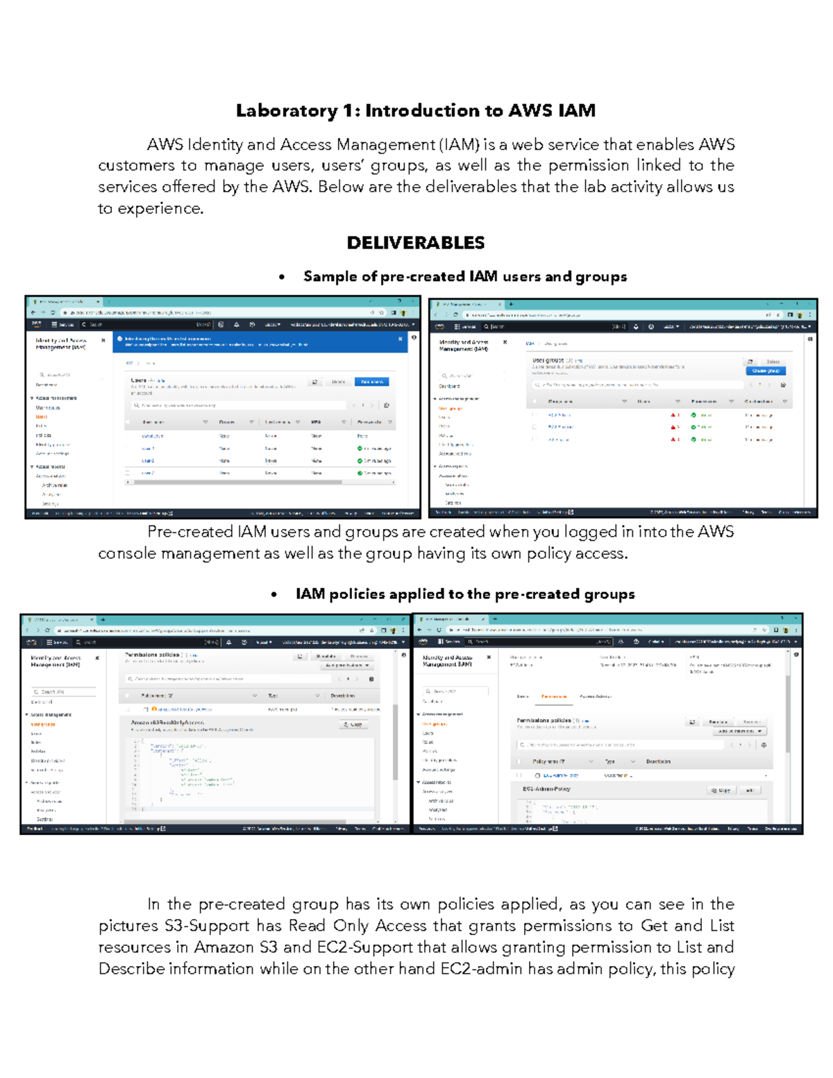 Lab Exercises - Laboratory 1: Introduction to AWS IAM AWS Identity and ...