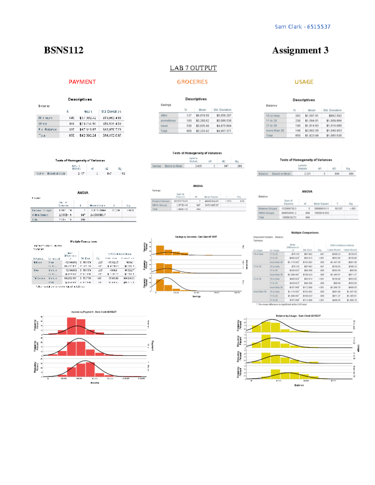 BSNS112 Assignment 4-4 - BSNS112 Assignment 3 LAB 7 OUTPUT PAYMENT GROCERIES USAGE Question One ...
