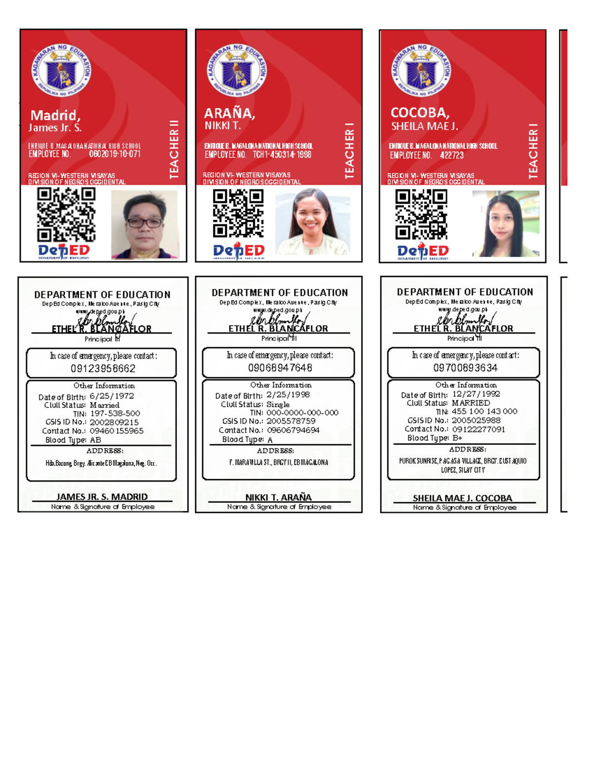 Ebmnhs ID Maker NEW - Automatic ID layout - Madrid, ARAÑA, COCOBA ...