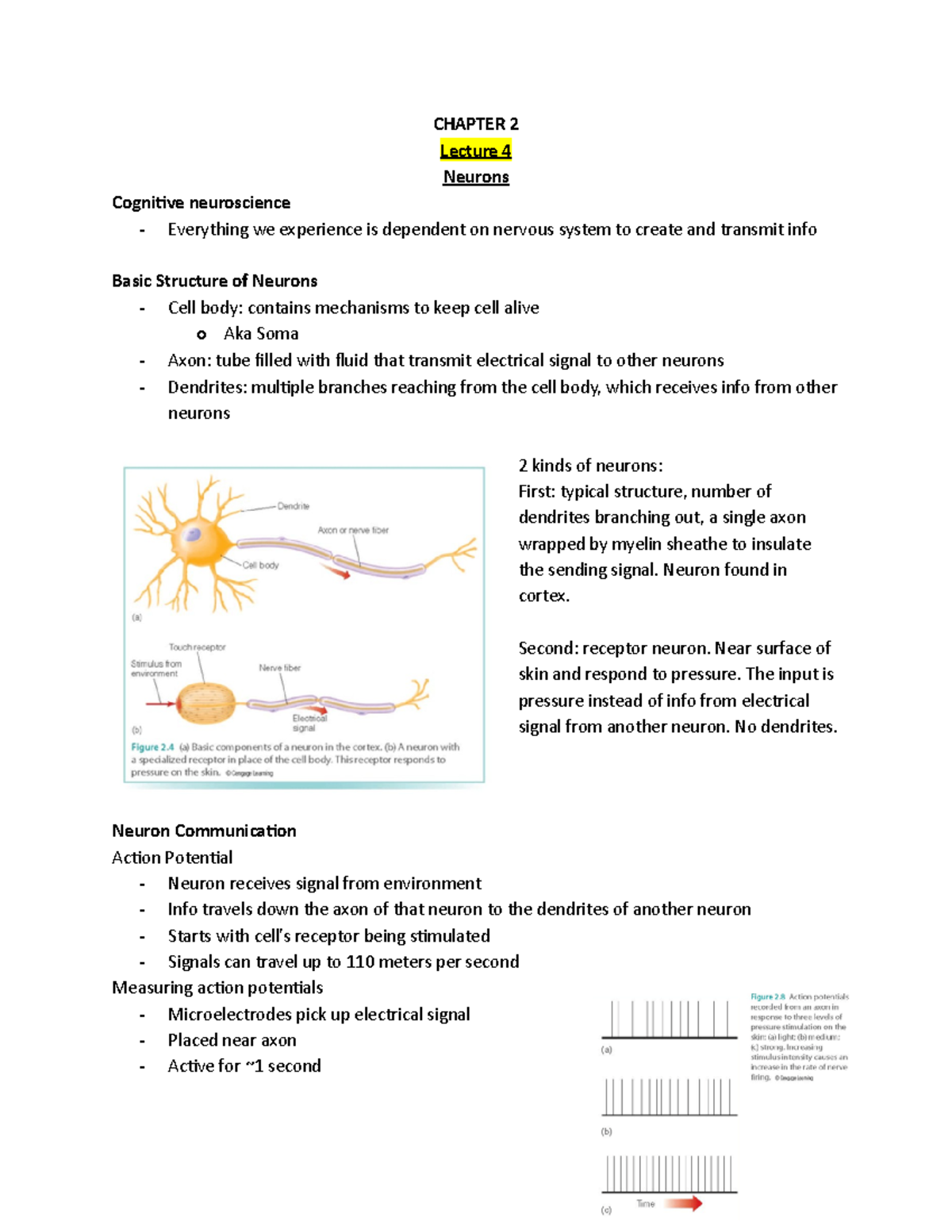 Ch2 Student Notes - Neurons, Representation by Neurons, Neuropsychology ...