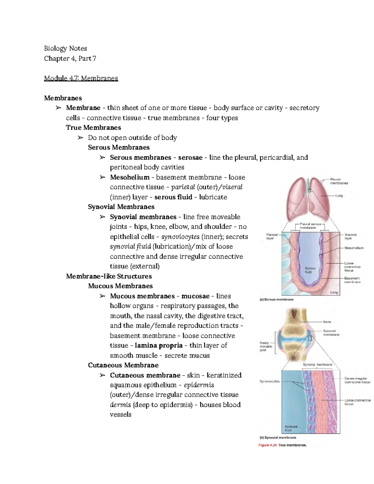 Biology 109 Notes Chapter 4, Part 7 - Biology Notes Chapter 4, Part 7 ...