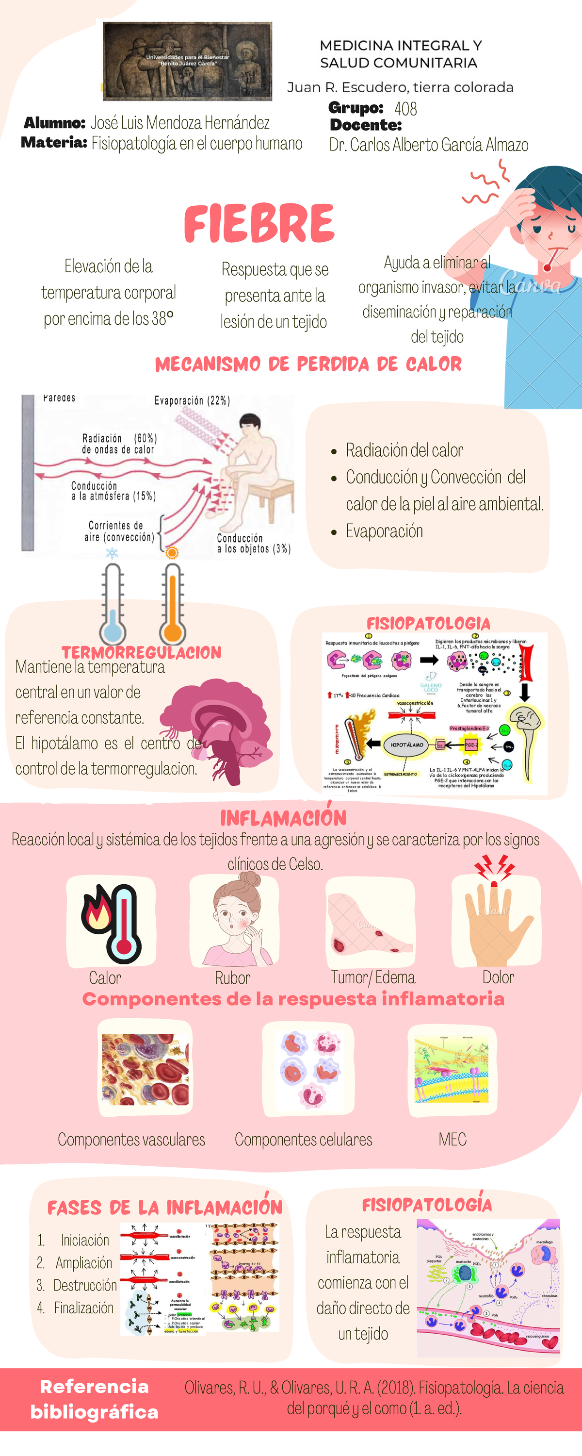 Cartel Fiebre e inflamación - FIEBRE Elevación de la temperatura ...