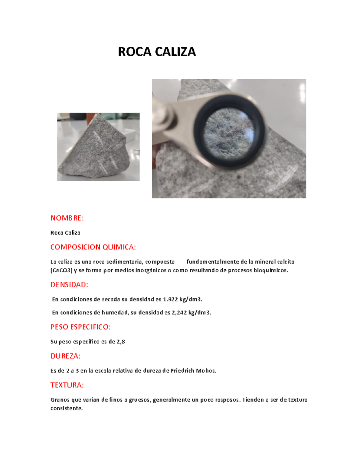 ROCA Caliza 1 - INFORMES 2022 - ROCA CALIZA NOMBRE: Roca Caliza ...