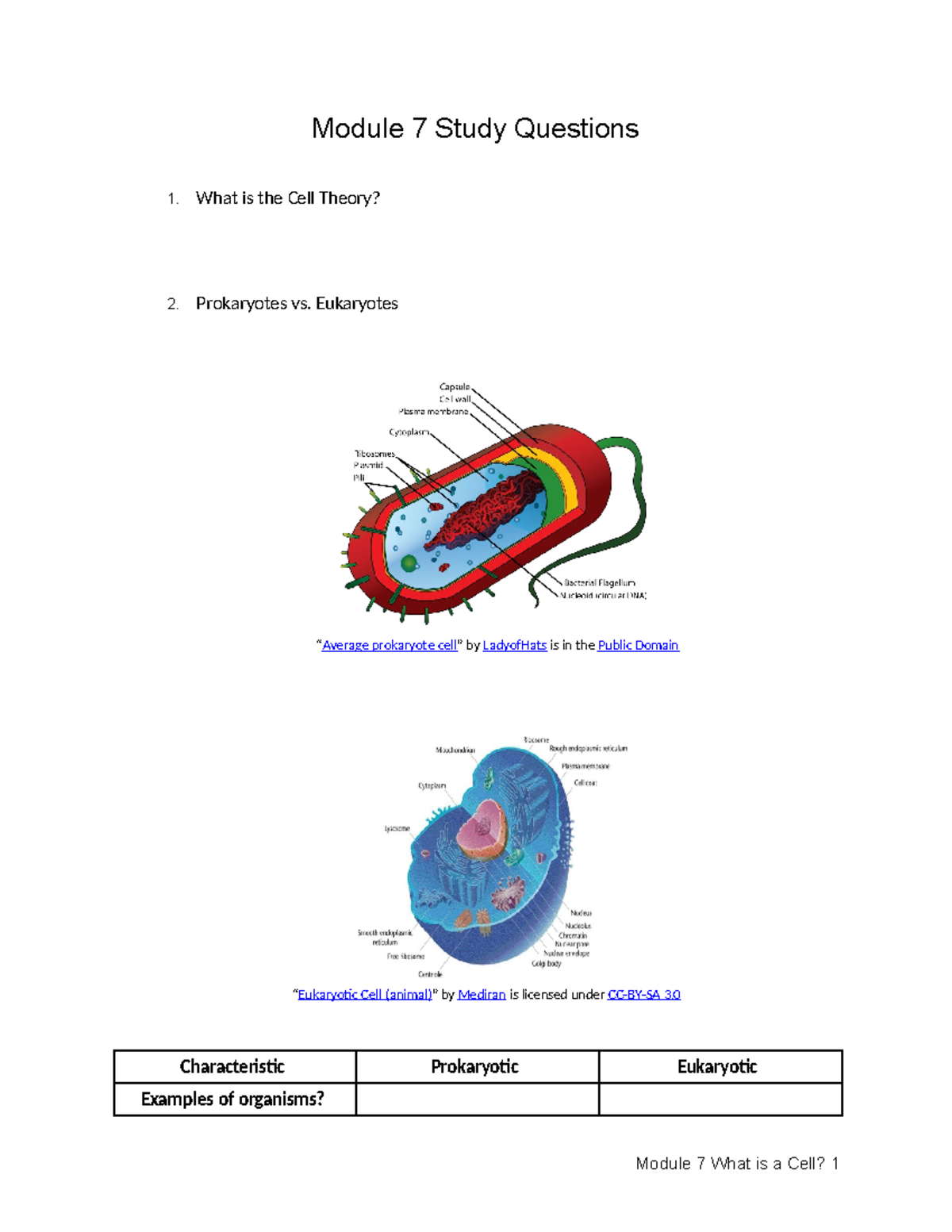 Module 7 study questions - Module 7 Study Questions 1. What is the Cell ...