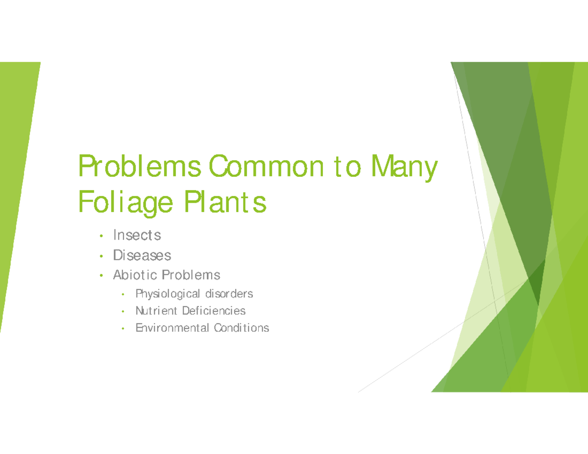 Problems Common to Many Foliage Plants - There are several precaut ions ...
