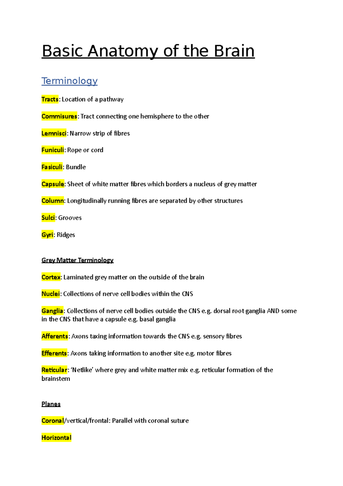 Basic Anatomy of the Brain - Basic Anatomy of the Brain Terminology ...