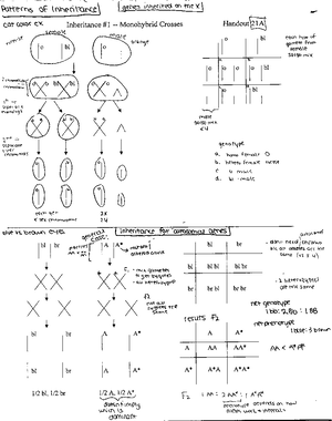 AP Biology Unit 2 - notes - 1 Biology Unit 2 The Cell Membranes and ...