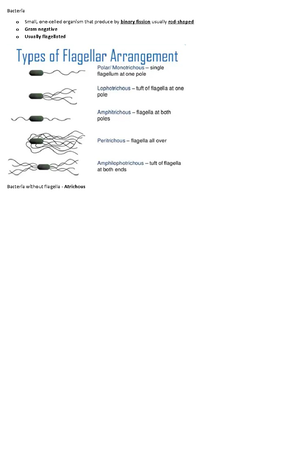 Activity - BS- Agriculture - PERFORM CALCULATION It is important to be ...