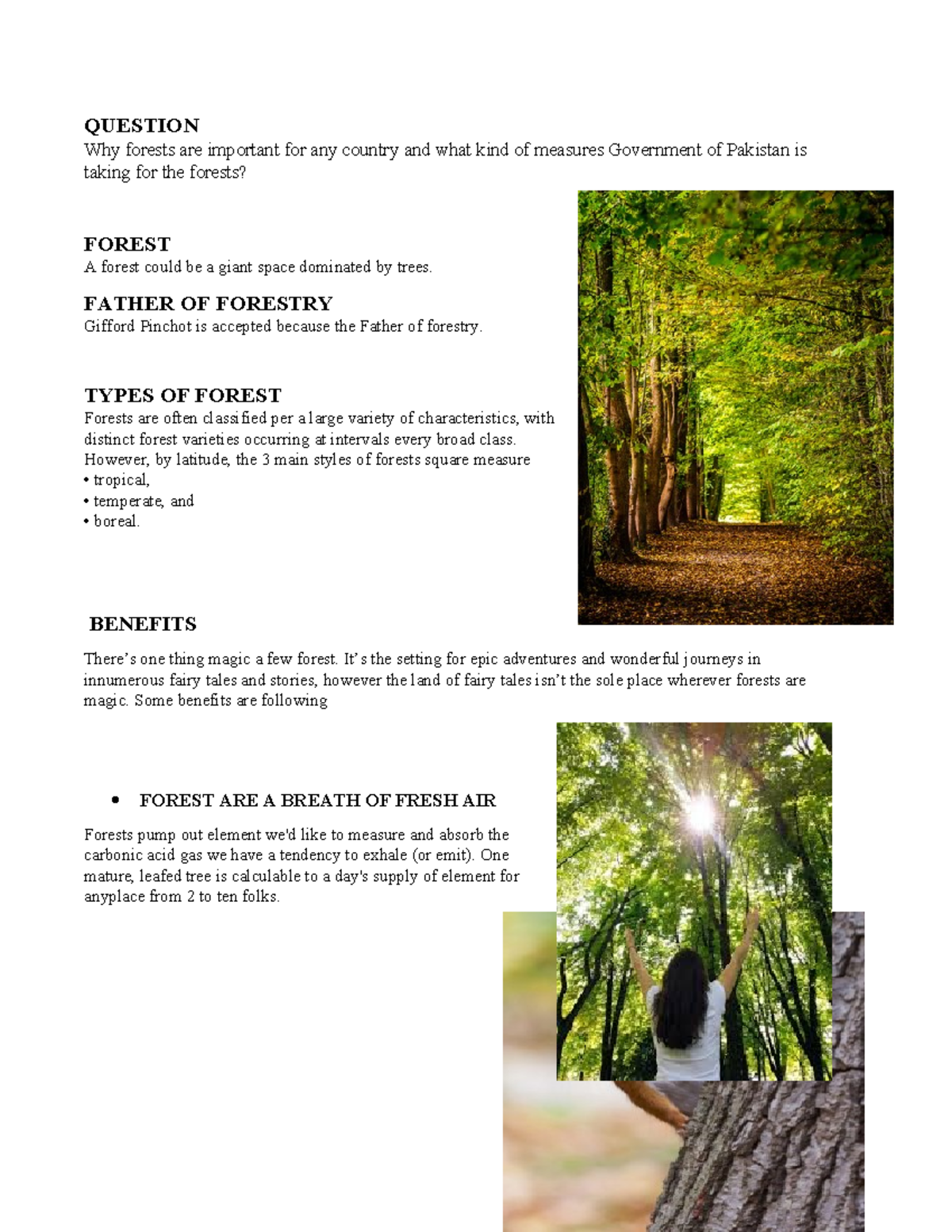 Importance of forest - QUESTION Why forests are important for any ...