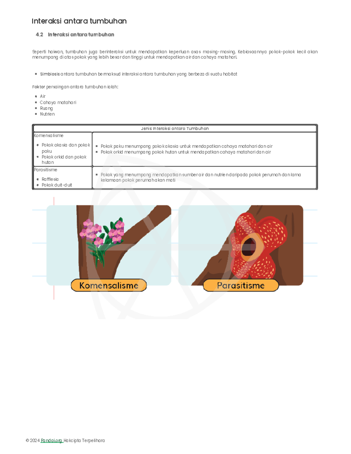 Menjelaskan pemerhatian tentang interaksi antara tumbuhan melalui ...