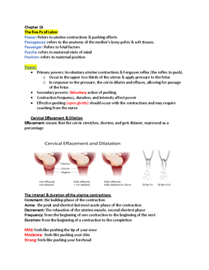 5 P of labor - notes - Power Contractions/pushing Passageway Birth ...