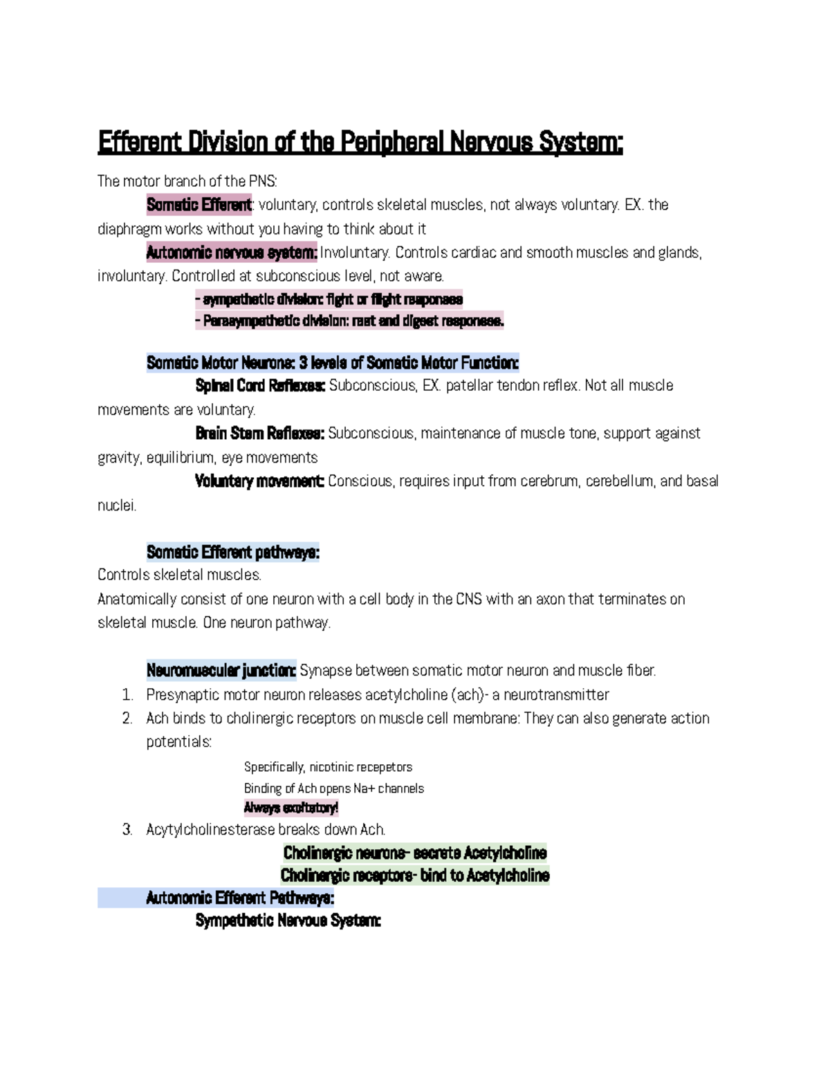 Efferent Division of the Peripheral Nervous System - EX. the diaphragm ...