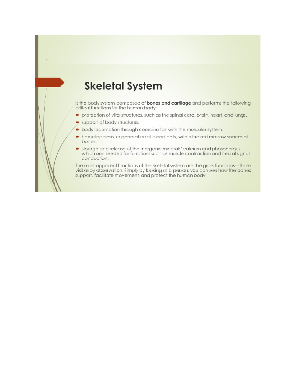 Bones - Physical Education - Studocu