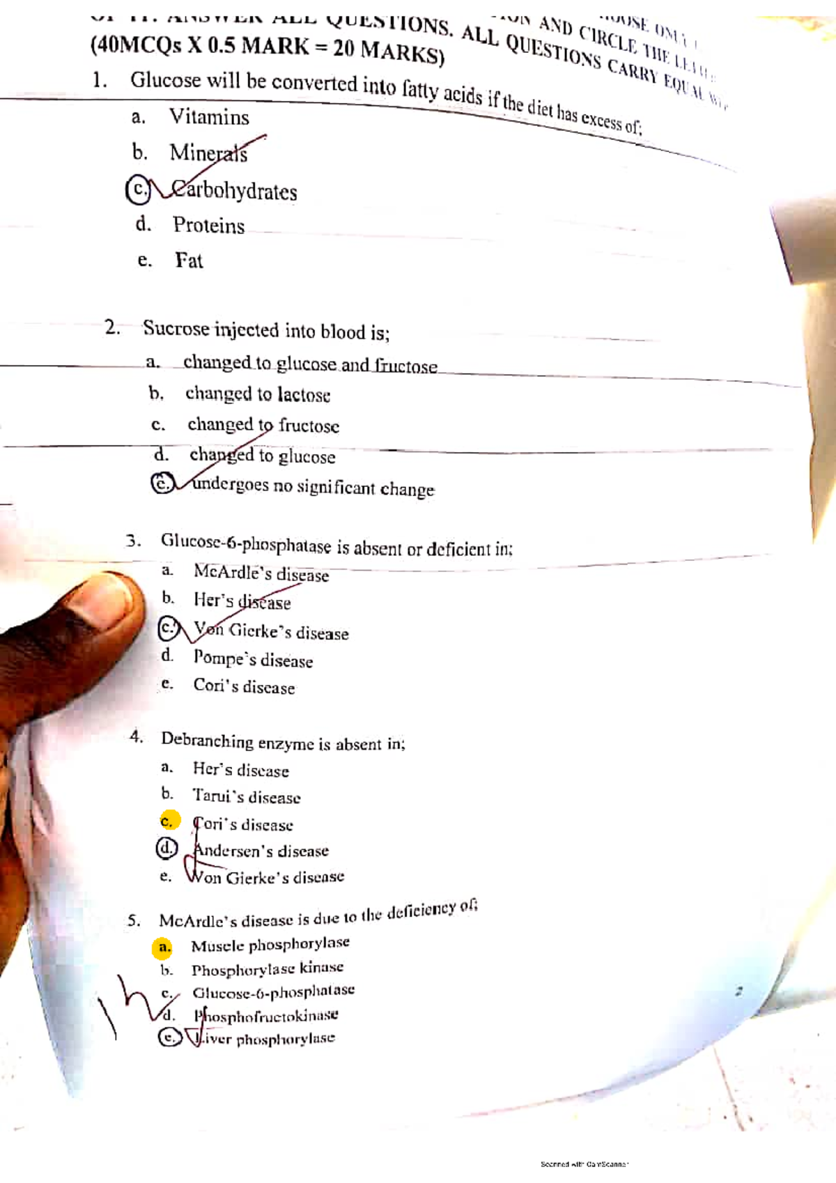 Anatomy MBS 300 - Studocu