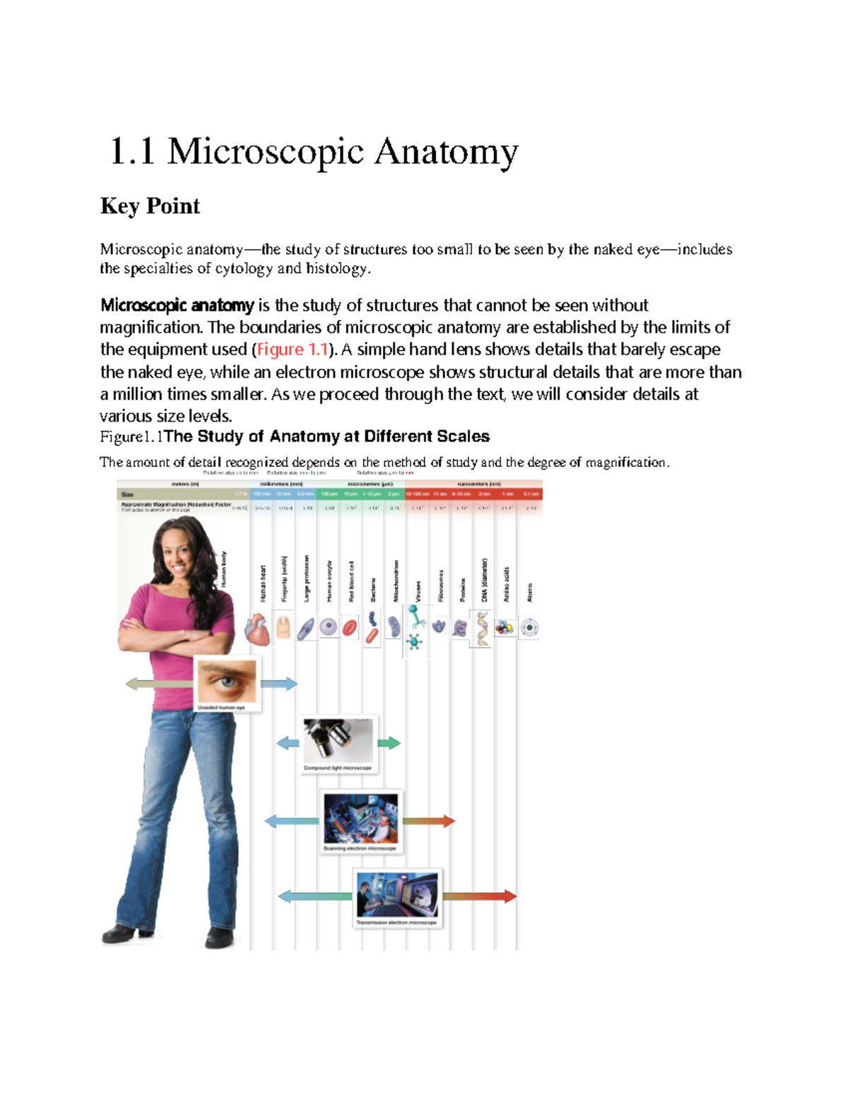 EPHE 141 Full Textbook of Chapter 1 and 2 - 1 Microscopic Anatomy Key ...