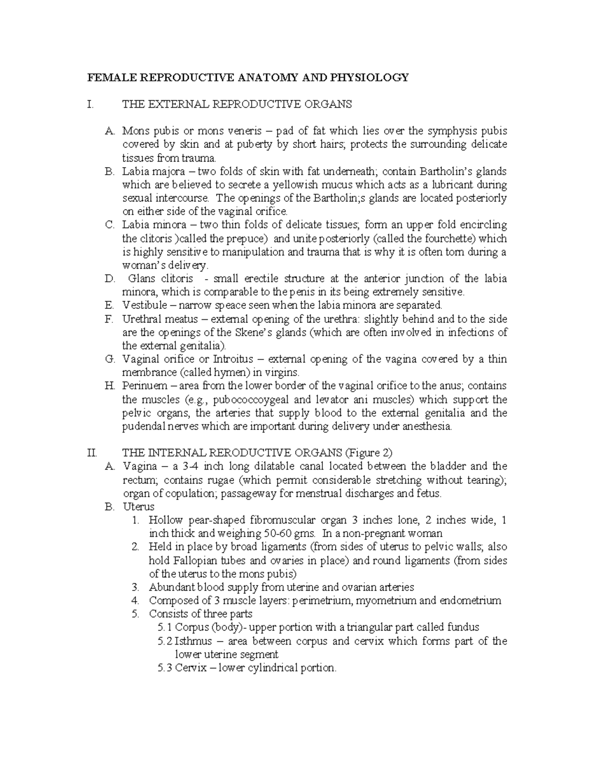 Anatomy - Female reproductive system - FEMALE REPRODUCTIVE ANATOMY AND ...