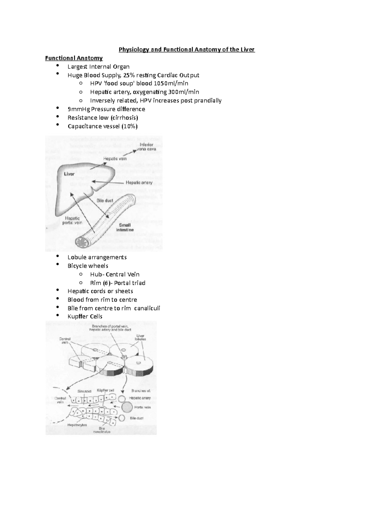 Physiology and Functional Anatomy of the Liver - Physiology and ...