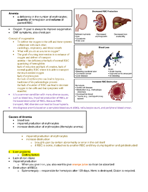 Angina Pectoris Concept Map - ANGINA PECTORIS Pathophysiology ...