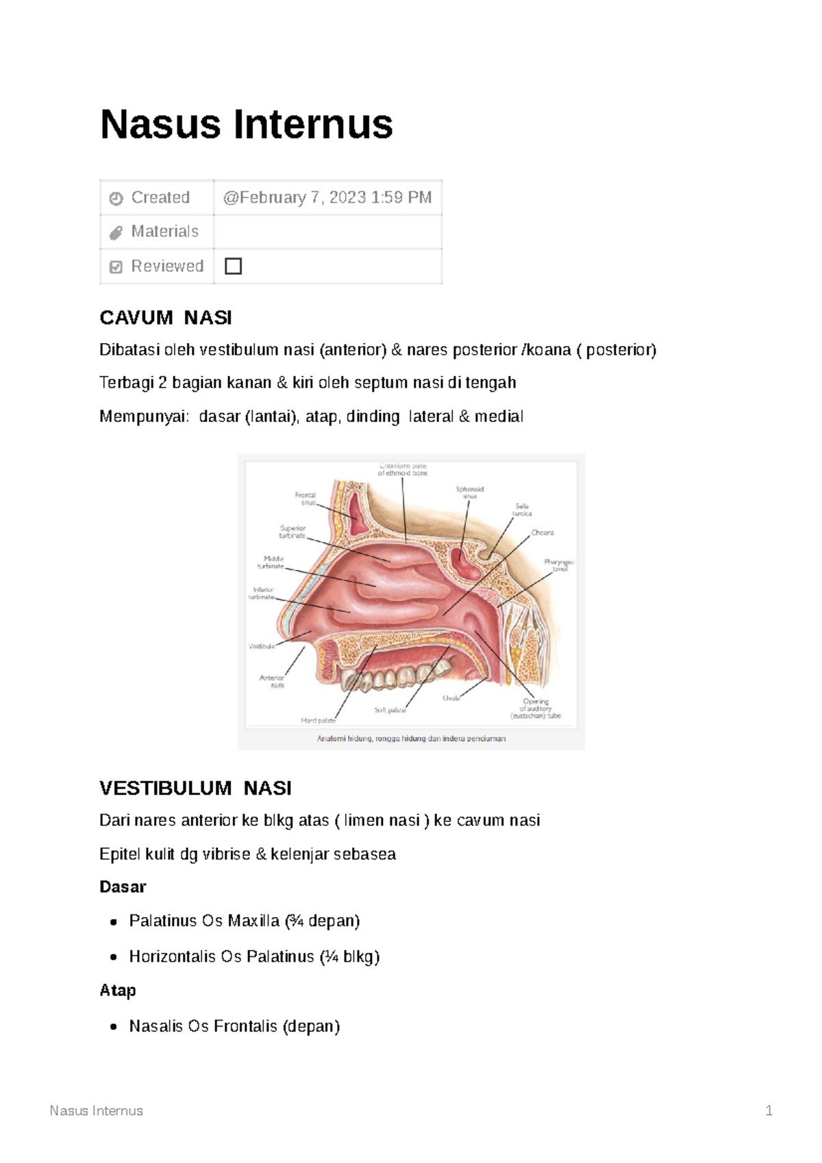 Nasus Internus - Cavernosus Concharum Dibawahnya ada Meatus Nasi Inferior muara Duct ...