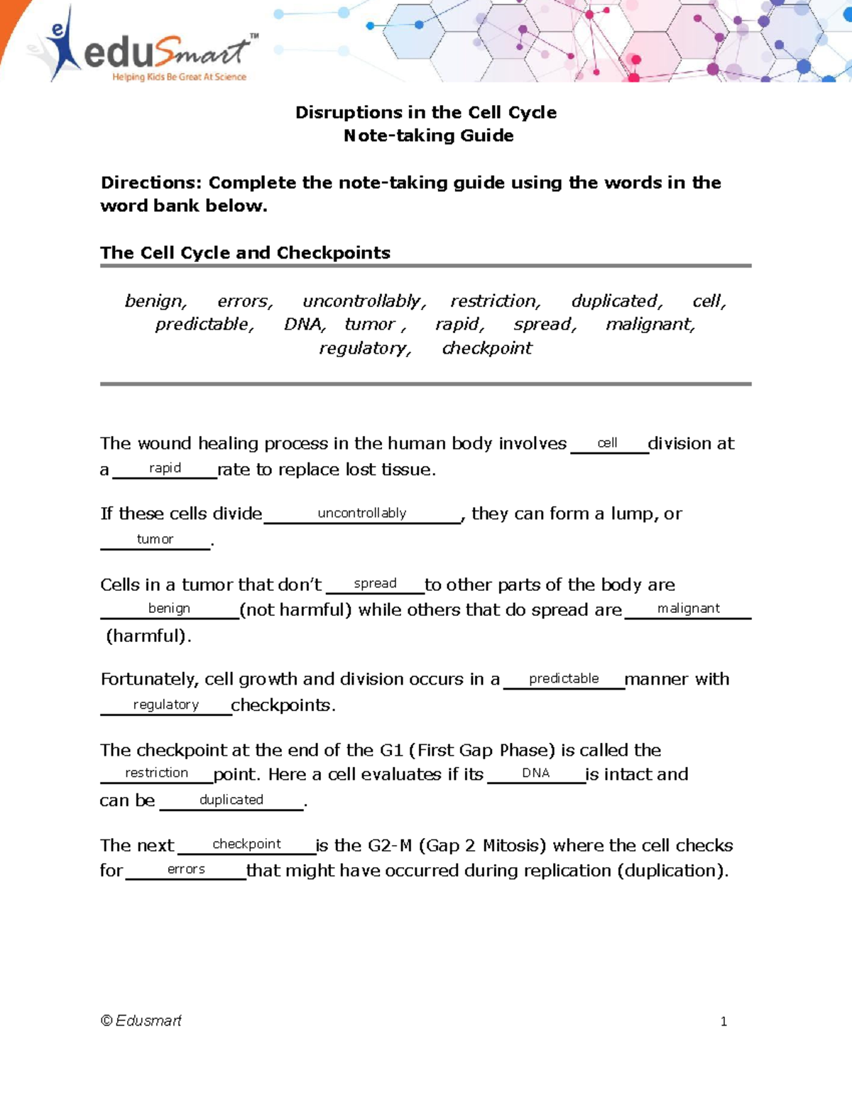 B05DN-Disruptions in the Cell Cycle - Disruptions in the Cell Cycle ...