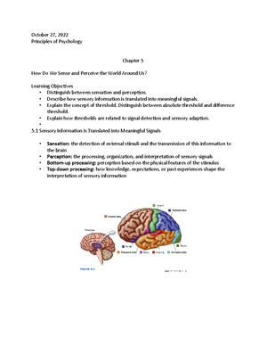 Psych- Visual Processing - VISUAL PROCESSING: Light passes through the cornea and enters the ...
