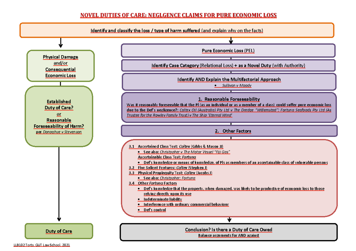 Problem solving sheet - flowchart - NOVEL DUTIES OF CARE: NEGLGENCE ...