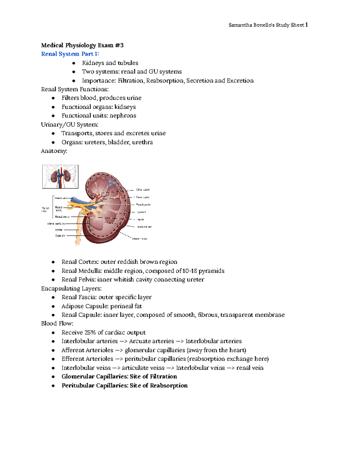 Medical Physiology Exam #3 Review - Medical Physiology Exam # Renal ...